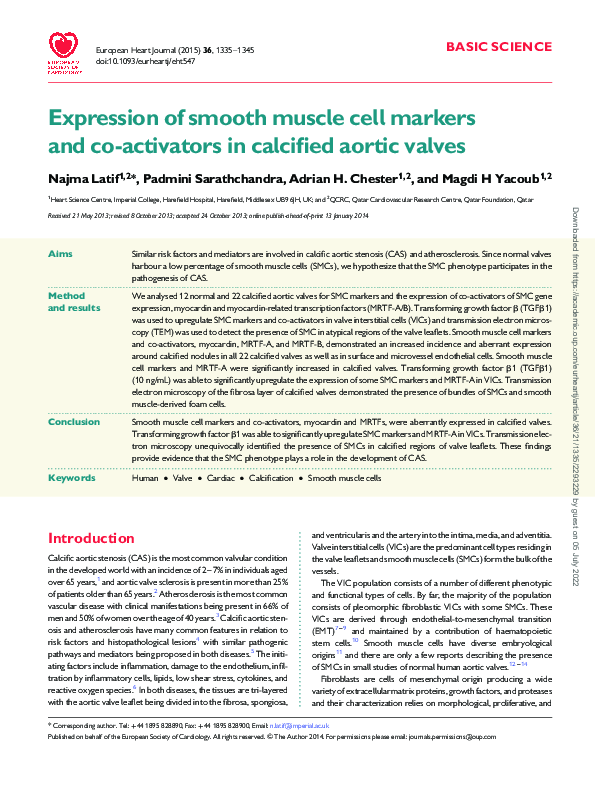 (PDF) Expression of smooth muscle cell markers and co-activators in ...