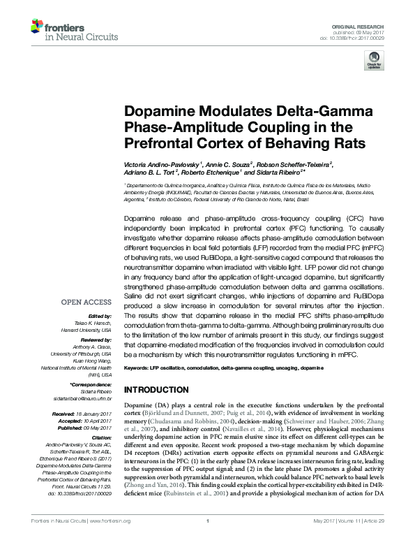 (PDF) Dopamine's Role in Delta-Gamma Coupling in PFC of Rats