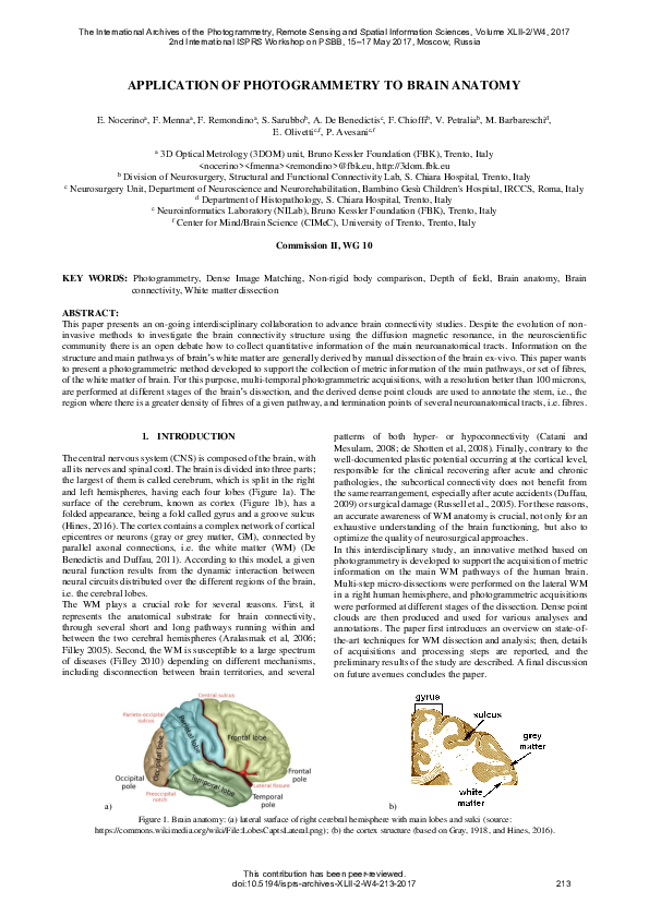 (PDF) Application of Photogrammetry to Brain Anatomy