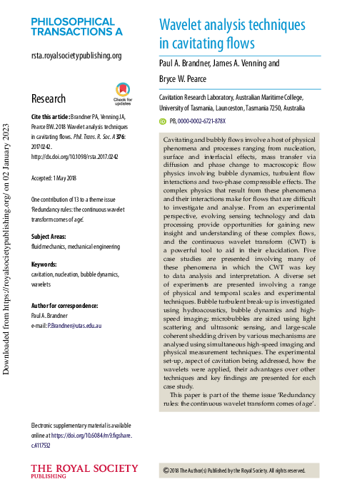 (PDF) Wavelet analysis techniques in cavitating flows