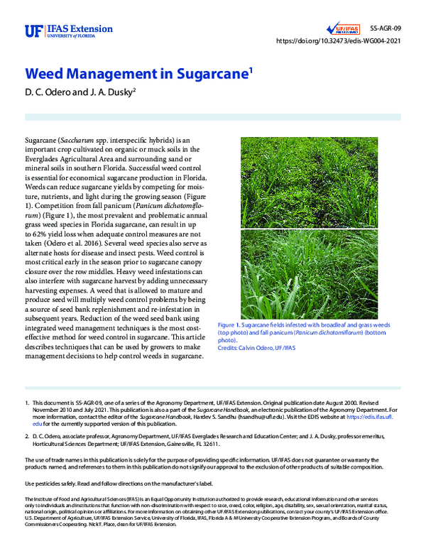 (PDF) Weed Management in Sugarcane
