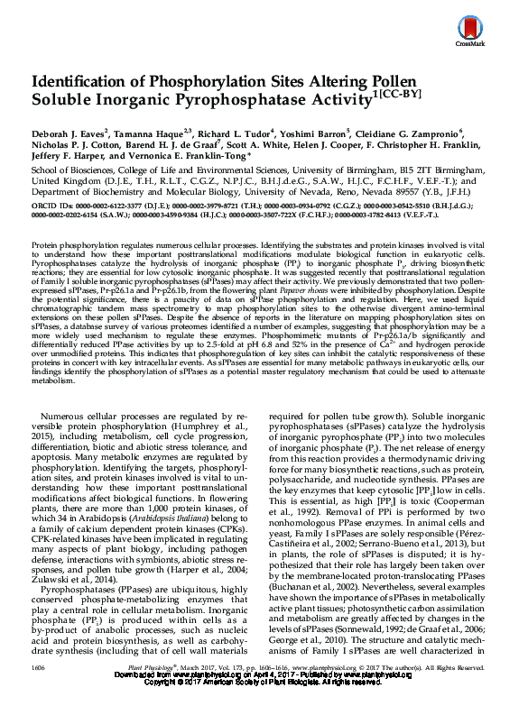 (PDF) Identification of Phosphorylation Sites Altering Pollen Soluble ...
