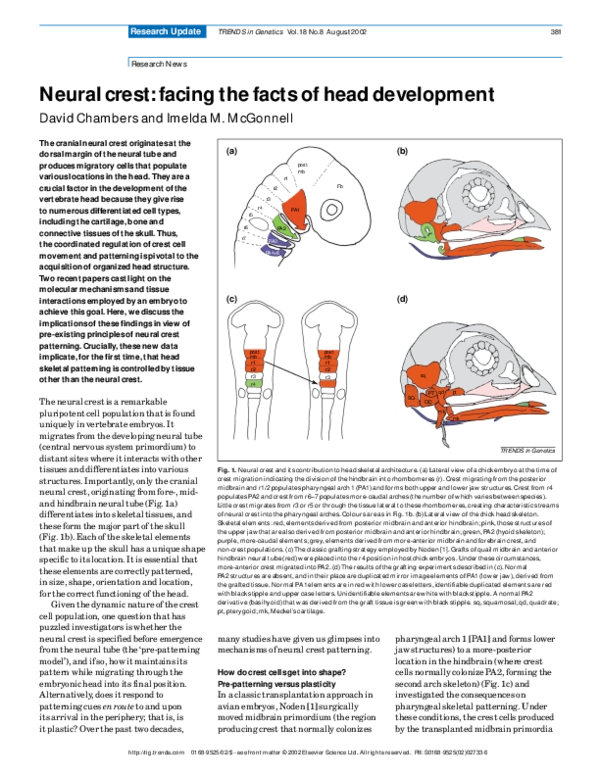 (PDF) Neural crest: facing the facts of head development