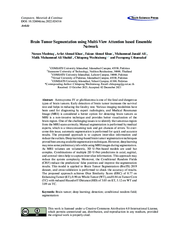 (PDF) Brain Tumor Segmentation using Multi-View Attention based Ensemble Network