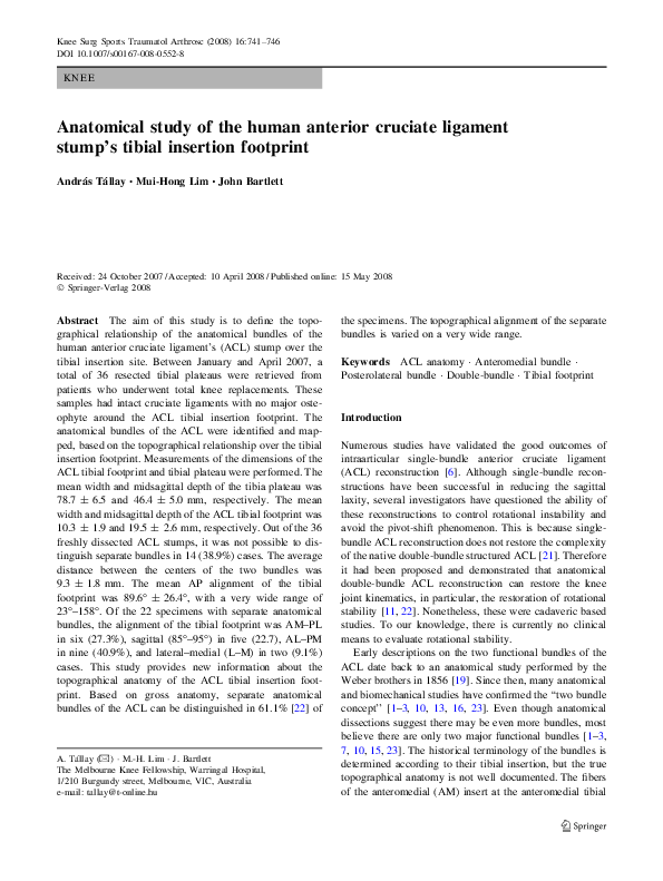(PDF) Anatomical study of the human anterior cruciate ligament stump’s ...