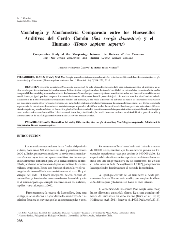 (PDF) Morfología y Morfometría Comparada entre los Huesecillos ...