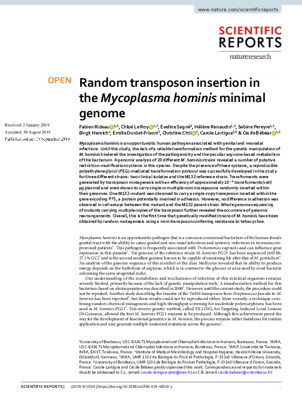 (PDF) Random transposon insertion in the Mycoplasma hominis minimal genome