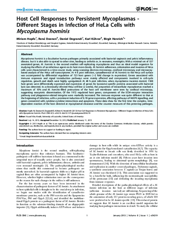 (PDF) Host Cell Responses to Persistent Mycoplasmas - Different Stages ...
