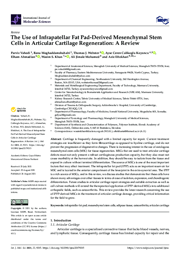 (PDF) The Use of Infrapatellar Fat Pad-Derived Mesenchymal Stem Cells ...