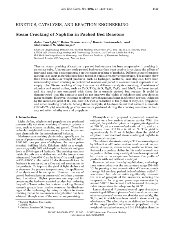 (PDF) Steam Cracking of Naphtha in Packed Bed Reactors