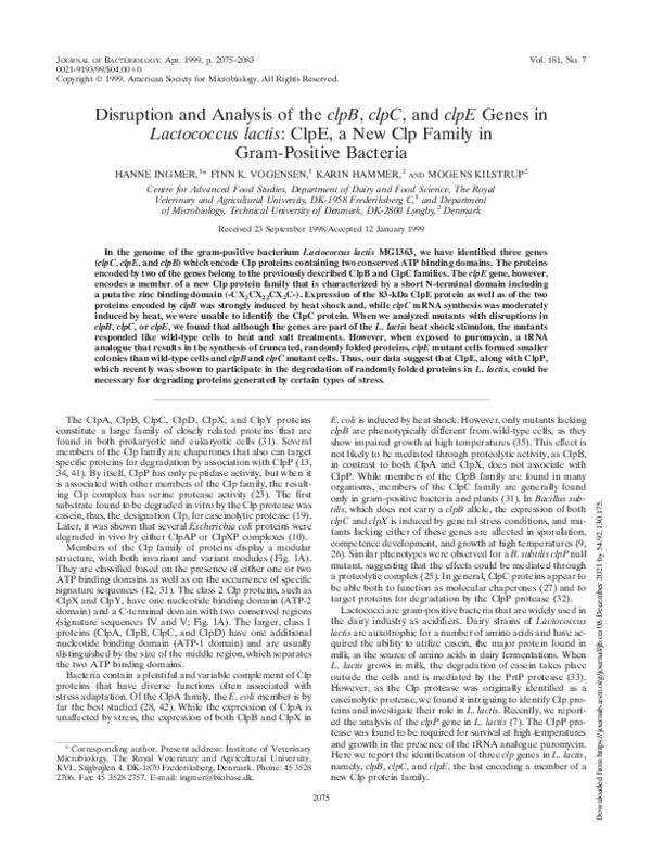 (PDF) Disruption and Analysis of the clpB , clpC , and clpE Genes in ...