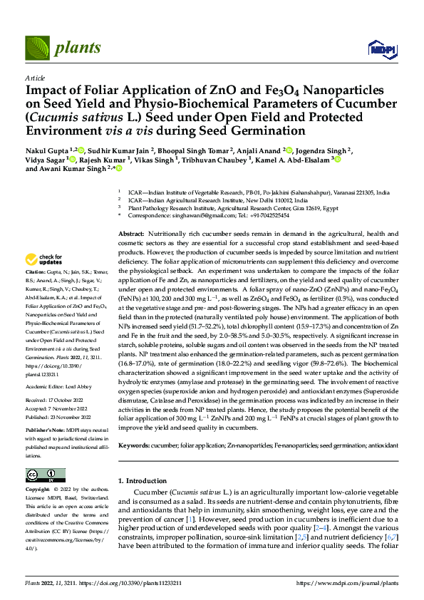 (PDF) Impact of Foliar Application of ZnO and Fe3O4 Nanoparticles on ...