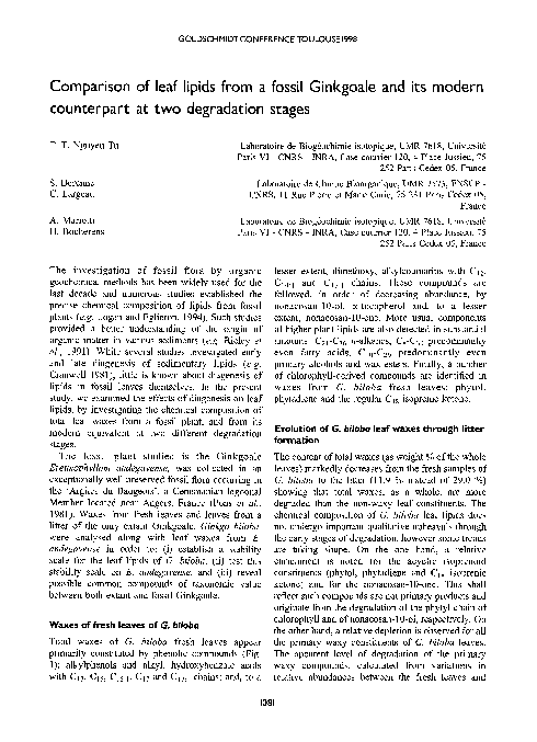 (PDF) Comparison of Leaf Lipids from a Fossil Ginkgoale and Its Modern ...