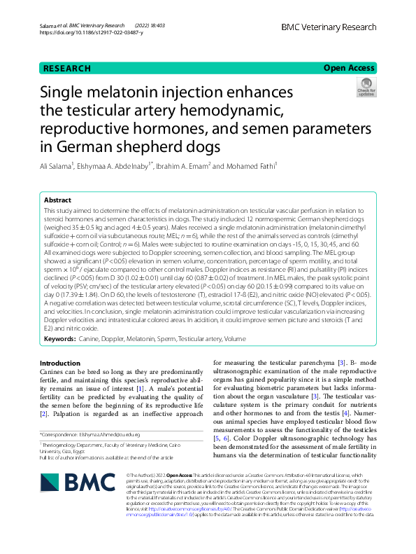 (PDF) Single melatonin injection enhances the testicular artery ...