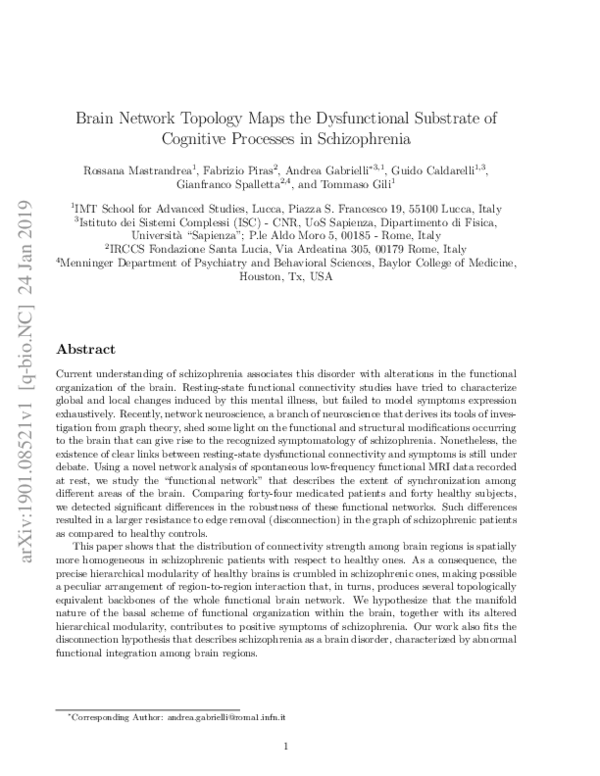 (PDF) Brain Network Topology Maps the Dysfunctional Substrate of Cognitive Processes in ...