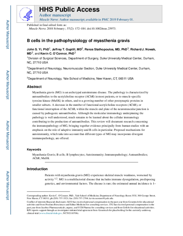 (PDF) B cells in the pathophysiology of myasthenia gravis