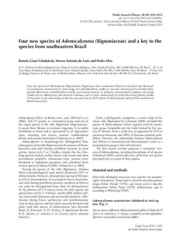 (PDF) Four new species of Adenocalymma (Bignoniaceae) and a key to the ...