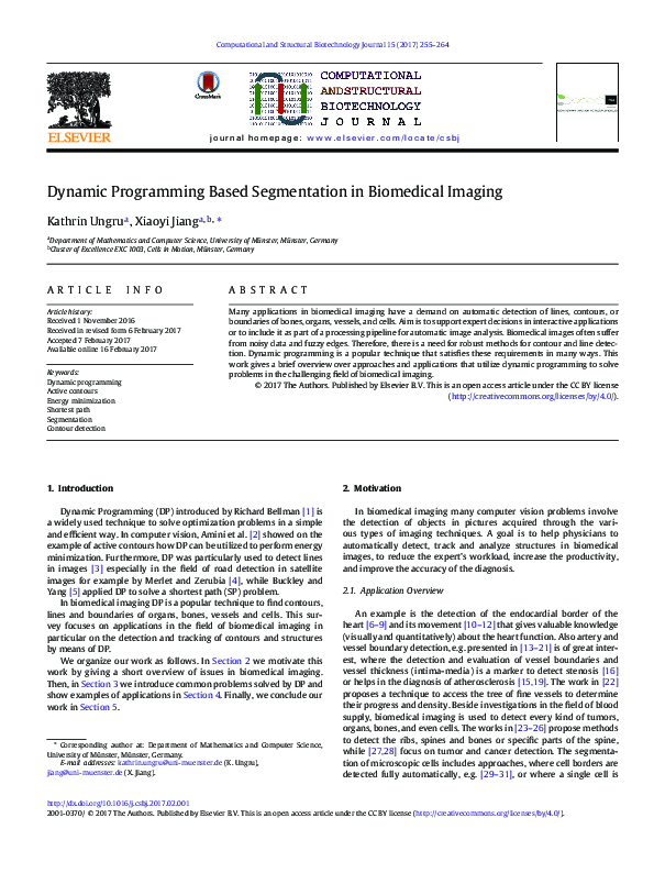 (PDF) Dynamic Programming Based Segmentation in Biomedical Imaging