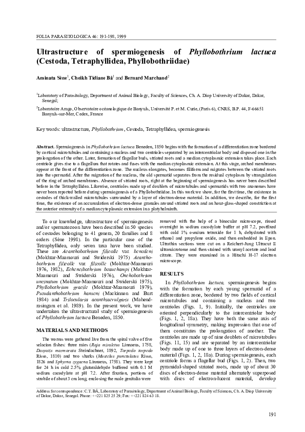 (PDF) Ultrastructure of spermiogenesis of Phyllobothrium lactuca ...