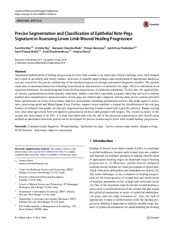(PDF) Precise Segmentation and Classification of Epithelial Rete-Pegs ...