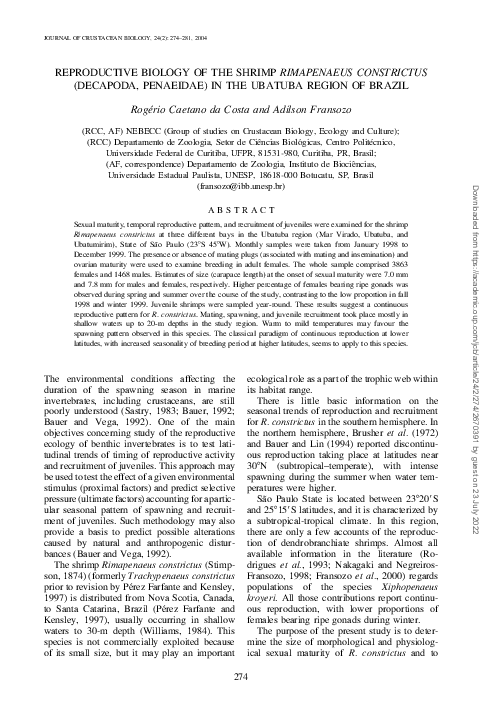 (PDF) Reproductive Biology of the Shrimp Rimapenaeus Constrictus ...