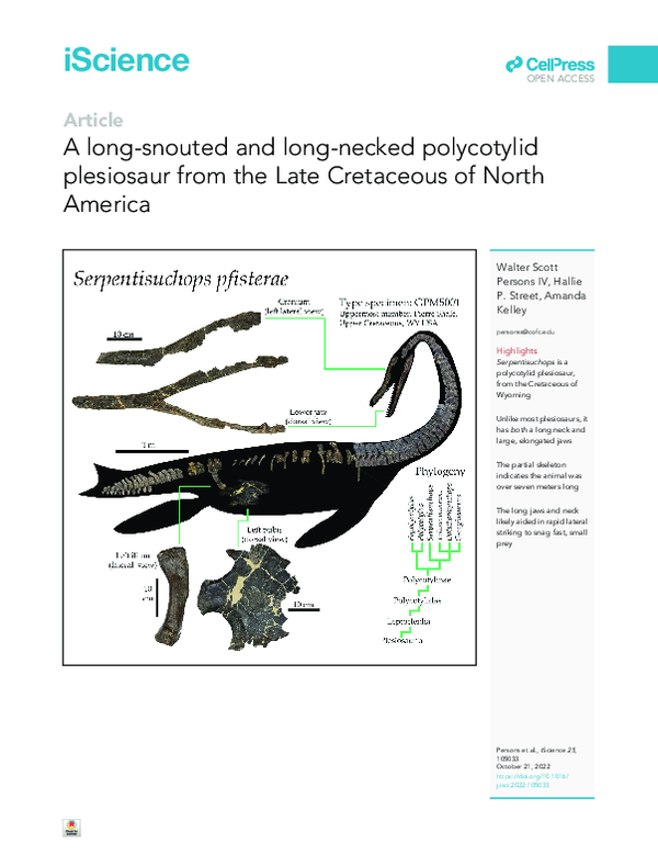 (PDF) A long-snouted and long-necked polycotylid plesiosaur from the ...