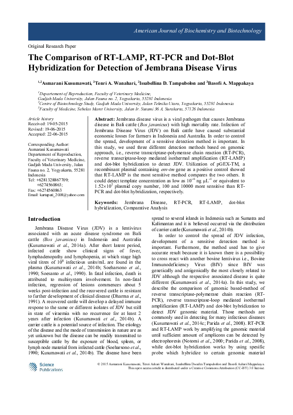 (PDF) The Comparison of RT-LAMP, RT-PCR and Dot-Blot Hybridization for ...