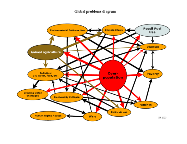 (PDF) Global problems diagram