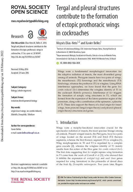 (PDF) Tergal and pleural structures contribute to the formation of ...