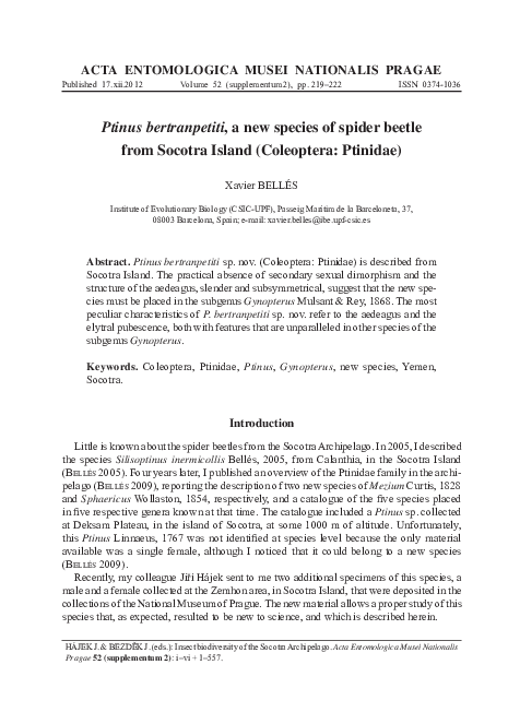 (PDF) Ptinus bertranpetiti, a new species of spider beetle from Socotra Island (Coleoptera ...