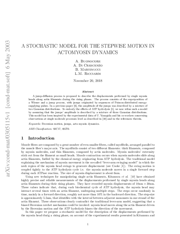 (PDF) A stochastic model for the stepwise motion in actomyosin dynamics