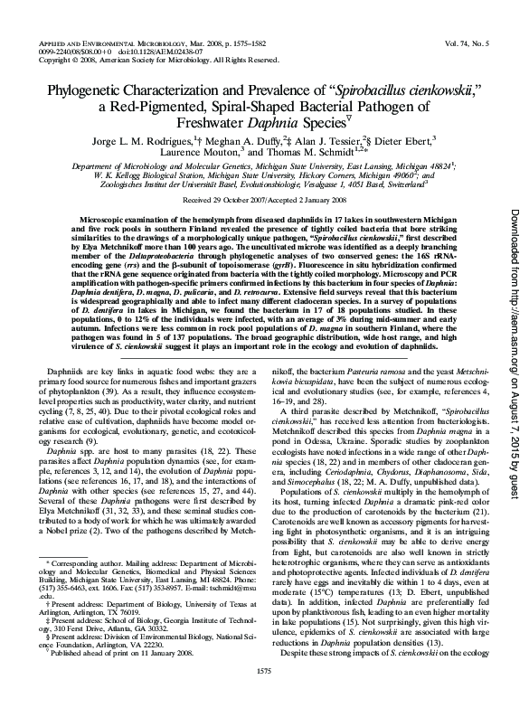 (PDF) Phylogenetic Characterization and Prevalence of "Spirobacillus ...