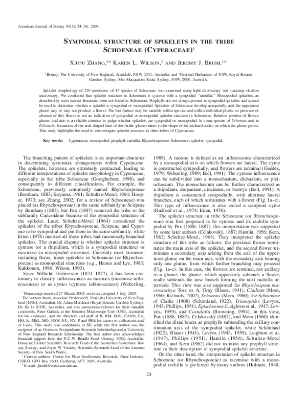 (PDF) Sympodial structure of spikelets in the tribe Schoeneae (Cyperaceae)