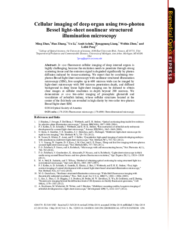 (PDF) Cellular imaging of deep organ using two-photon Bessel light ...