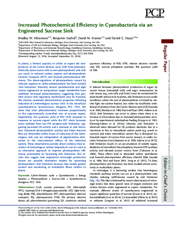 (PDF) Increased Photochemical Efficiency in Cyanobacteria via an ...