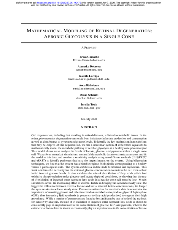 (PDF) Mathematical Modeling of Retinal Degeneration: Aerobic Glycolysis in a Single Cone