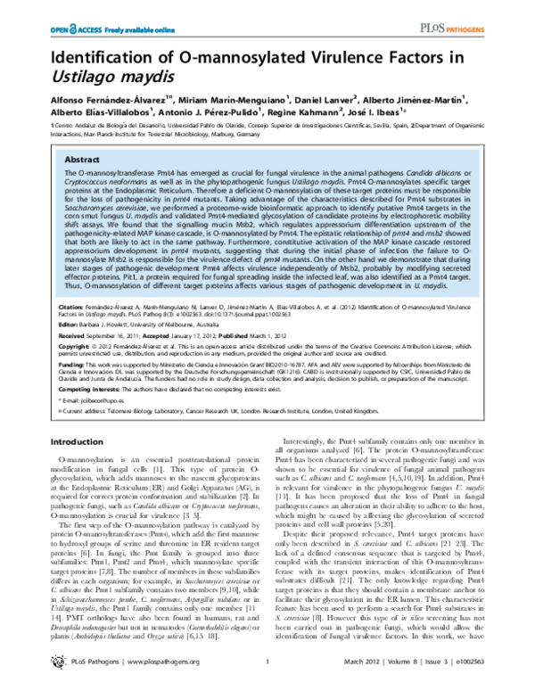 (PDF) Identification of O-mannosylated Virulence Factors in Ustilago maydis