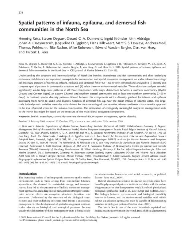 (PDF) Spatial patterns of infauna, epifauna, and demersal fish ...