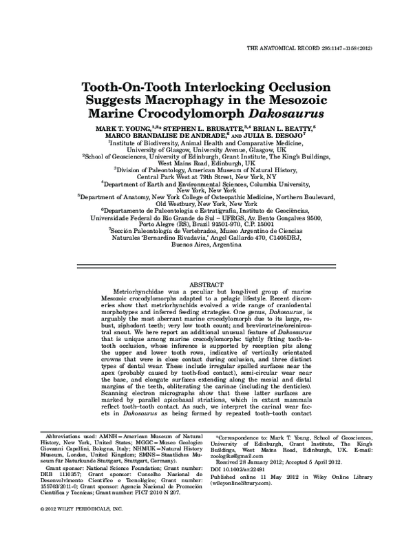 (PDF) Tooth-On-Tooth Interlocking Occlusion Suggests Macrophagy in the ...