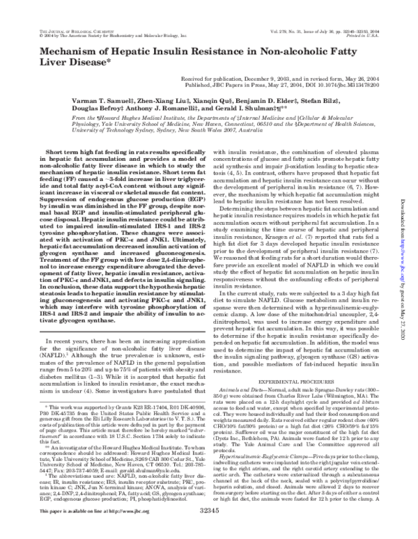 (PDF) Mechanism of Hepatic Insulin Resistance in Non-alcoholic Fatty ...