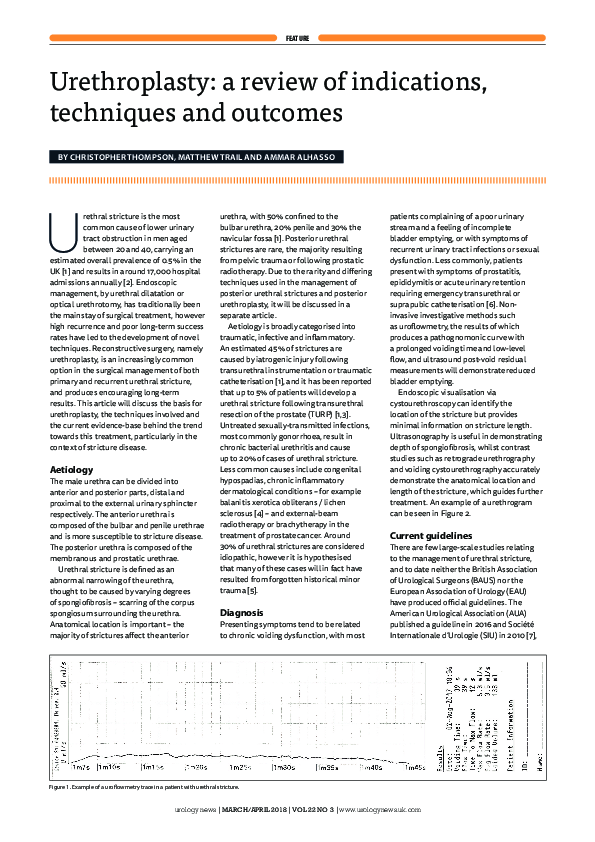 (PDF) Urethroplasty : a review of indications , techniques and outcomes