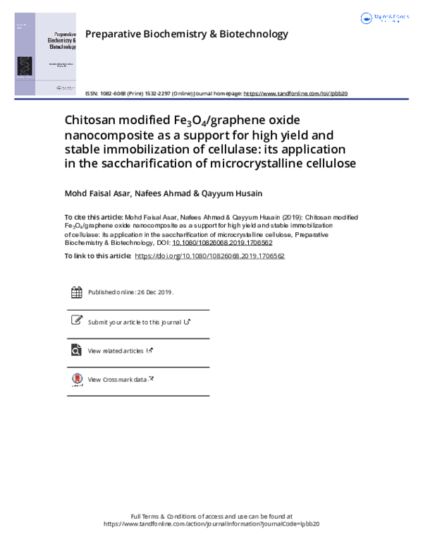 (PDF) Chitosan modified Fe3O4/graphene oxide nanocomposite as a support for high yield and ...