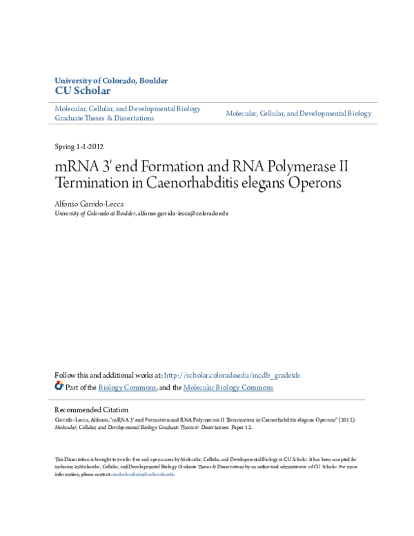 (PDF) mRNA Processing and Termination in C. elegans