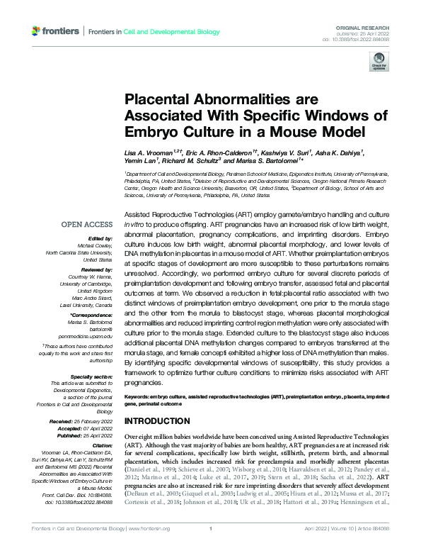(PDF) Placental Abnormalities are Associated With Specific Windows of ...