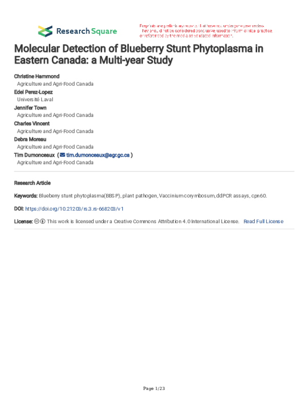 (PDF) Molecular Detection of Blueberry Stunt Phytoplasma in Eastern ...