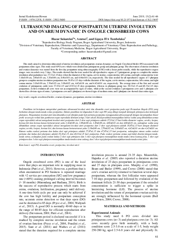 (PDF) Ultrasound Imaging of Postpartum Uterine Involution and Ovarium ...