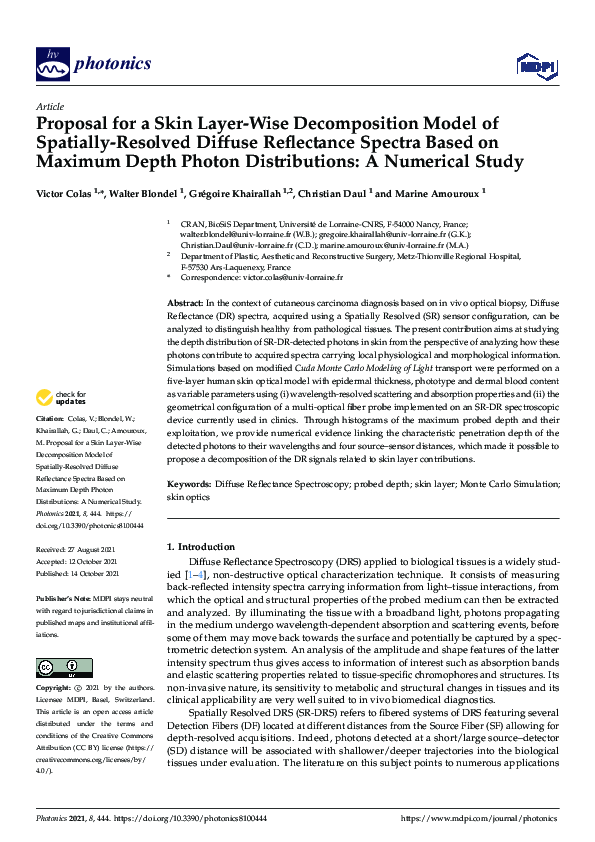 Pdf Proposal For A Skin Layer Wise Decomposition Model Of Spatially