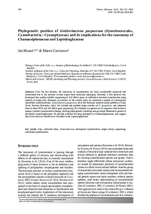 (PDF) Phylogenetic position of Geitleribactron purpureum ...