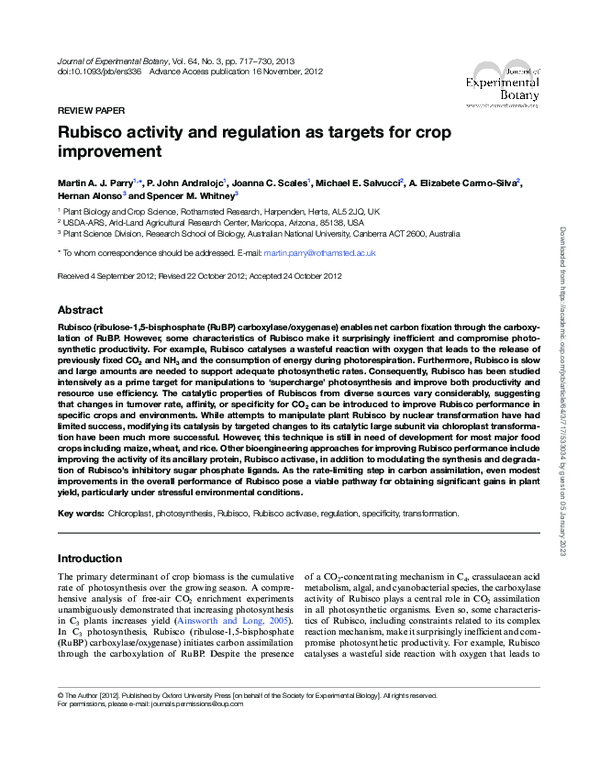 (PDF) Rubisco activity and regulation as targets for crop improvement