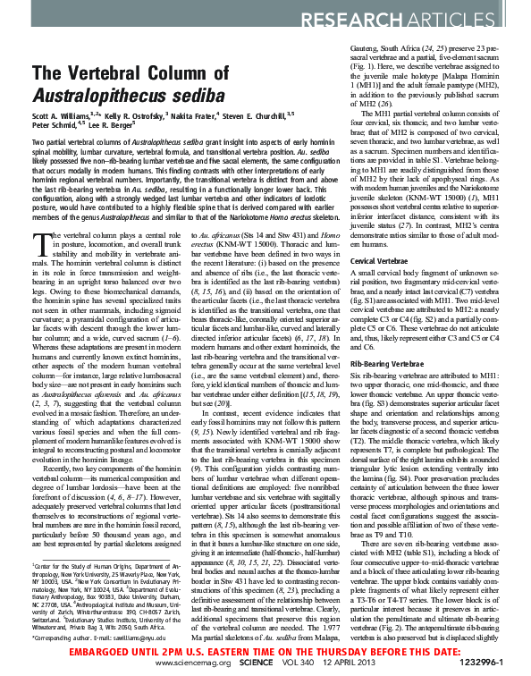 (PDF) The Vertebral Column of Australopithecus sediba | Scott Williams ...
